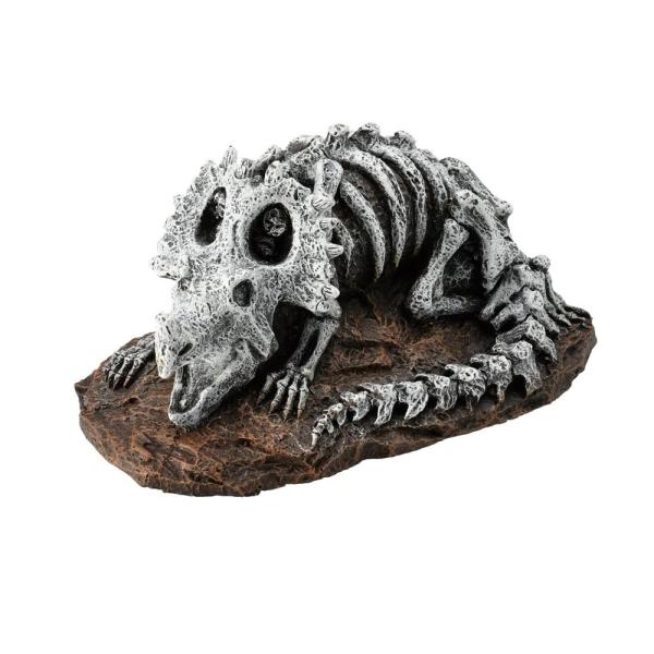 ●楽しく、おしゃれな水槽レイアウトを演出することができるアクアリウムオーナメントです●水槽のオブジェとしての役割だけでなく、生き物の居心地の良い隠れ家となり、飼育環境の向上にも役立ちます