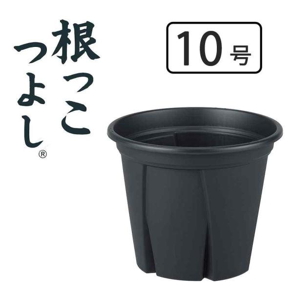 ●通気性や排水性を良くして、根の生育環境を整えるスリット構造●通気性を良くすることで、根のサークリングを軽減し、植物の発根が促進され元気に育ちます●鉢底と地面の間に隙間ができる足つき構造で、排水性が良く根腐れを軽減します●オージープランツや...