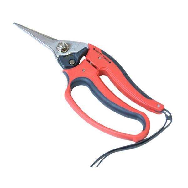 ●手にフィットするグリップを採用した、収穫、摘果、芽切作業用ステンレス鋏●刃部にステンレス刃物鋼を使用し熱処理を施していますので、耐磨耗性、切れ味に優れています●携帯、保管に便利なストラップ付