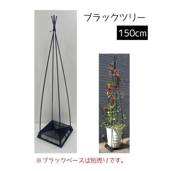 ●家庭菜園系YouTuber「カーメン君」とのコラボ商品、ブラックベース(別売)に使用可能な支柱●4本の支柱でバラや、つる性植物を華やかにサポート●上部のリングで支柱を結束●植物の魅せ方に合わせてリングの高さを調節可能●φ8mm支柱に先端φ...