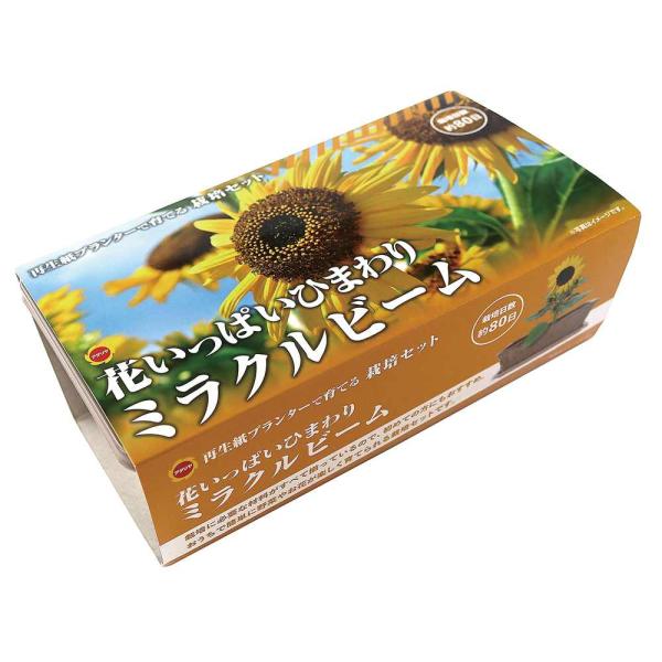 ●栽培に必要な材料がすべて揃っているので、初めての方にもおすすめ●おうちで簡単にお花が育てられる栽培セットです●花壇やプランターで長い期間楽しめるひまわりです