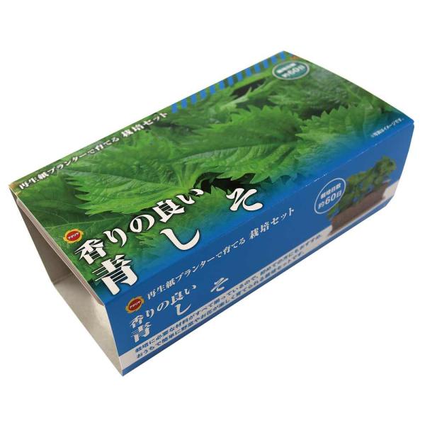 ●薬味、天ぷら、刺身などの和食に欠かせない、風味の良い芳香野菜です●大きくなった葉から次々と収穫できます