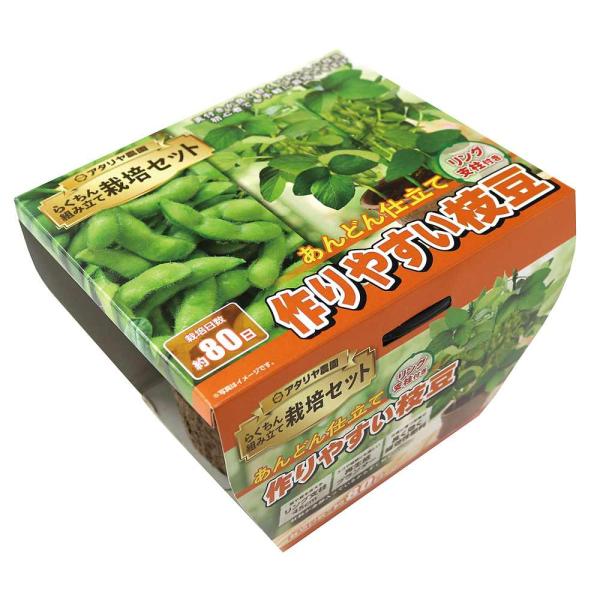 ●生育旺盛で初めての方でもプランターで手軽に作り易い枝豆です●実付きが良く、豆は緑が鮮やかで甘味があり、食味のバランスの良いおいしさです