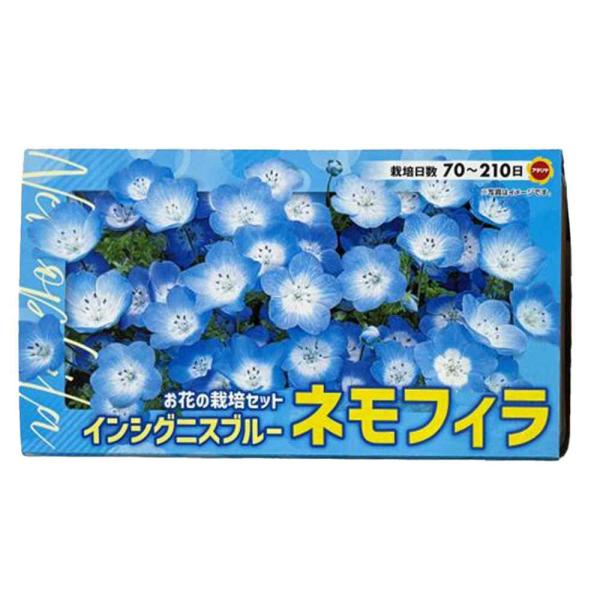 ●水だけで栽培できる、お花の栽培セット●人気のかわいい小輪のお花がボリュームいっぱいに開花します●イニシングブルーは、明るい爽やかな青空色の定番カラーです