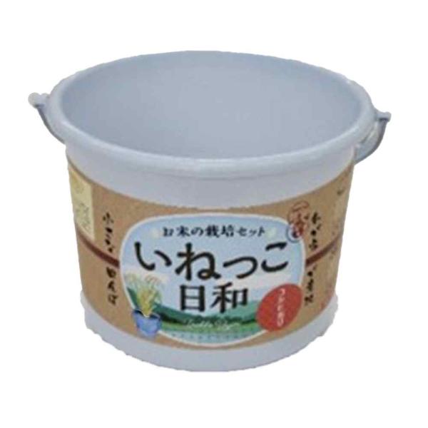 ●学校教材としても使用、しっかり育ちます●詳しい栽培説明書付き●コシヒカリ