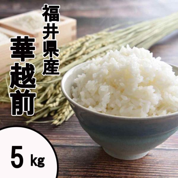 ●「花(華)」を「コシヒカリ(越)」より「前」に咲かせるという意味から「ハナエチゼン(華越前)」と命名されました●歯ごたえのある、少しかための食感で、あっさり系のご飯になります●冷めても美味しく、つゆ・タレをかけても、ふやけにくいので、丼や...