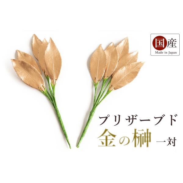 国産プリザーブド「金の榊」プリザーブド加工の榊は枯れることがないので、交換の必要がなく、水やりも不要。 金色で、金運・開運・運気も上がりそうな華やかで縁起のよい榊です。天然のお花や葉を無害な薬品・着色料で特殊加工を施し、 生葉と変わらない美...