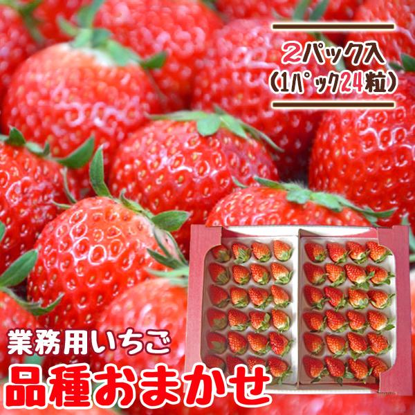 【※同梱不可商品です※】【※10,000円以上送料無料条件の対象外です※】“いちご王国”として知られる宮城県山元町で育った、山元いちご農園の完熟いちごです。ハウスでたっぷりと太陽を浴び、ヘタの近くまで真っ赤に色づいたものだけを朝摘みし、その...