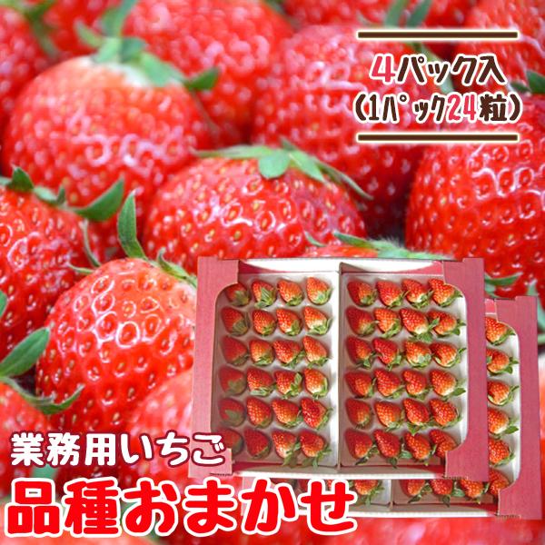 【※同梱不可商品です※】【※10,000円以上送料無料条件の対象外です※】“いちご王国”として知られる宮城県山元町で育った、山元いちご農園の完熟いちごです。ハウスでたっぷりと太陽を浴び、ヘタの近くまで真っ赤に色づいたものだけを朝摘みし、その...