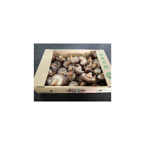 商品名：生椎茸産地：熊本県産内容量：１ｋｇ保存方法：１０度以下の涼しい場所で保存賞味期限：生ものですのでお早めにお召し上がりください