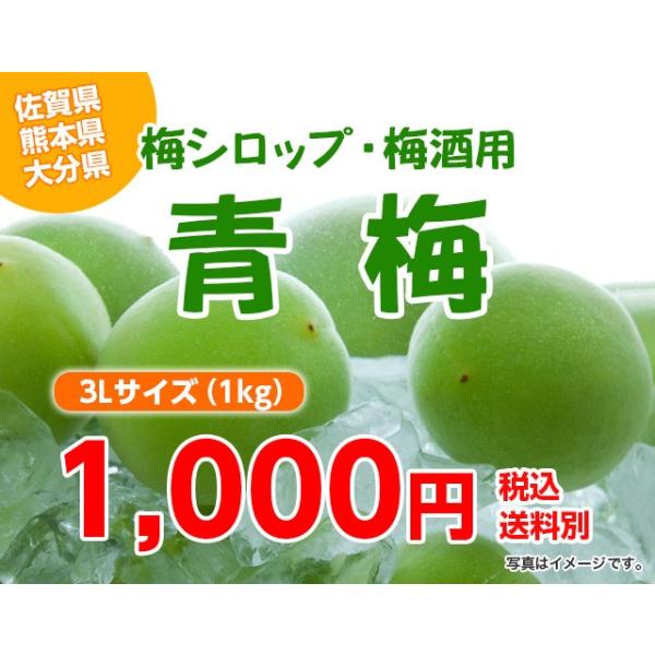 商品名：青梅　L〜Mサイズ産地：佐賀・大分・熊本産内容量：１ｋｇ保存方法：１０度以下の涼しい場所で保存賞味期限：生ものですのでお早めにお召し上がりくださいクール代300円追加になります。