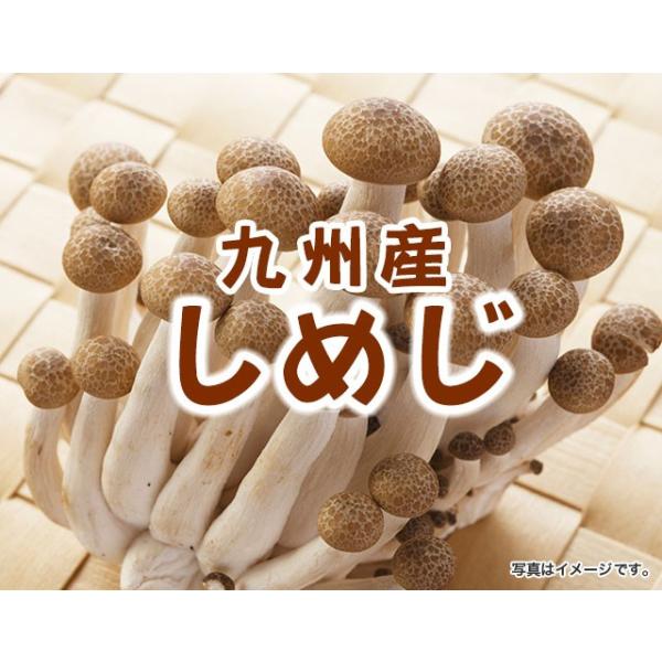 商品名：しめじ産地：九州産内容量：２袋保存方法：１０度以下の涼しい場所で保存賞味期限：生ものですのでお早めにお召し上がりください