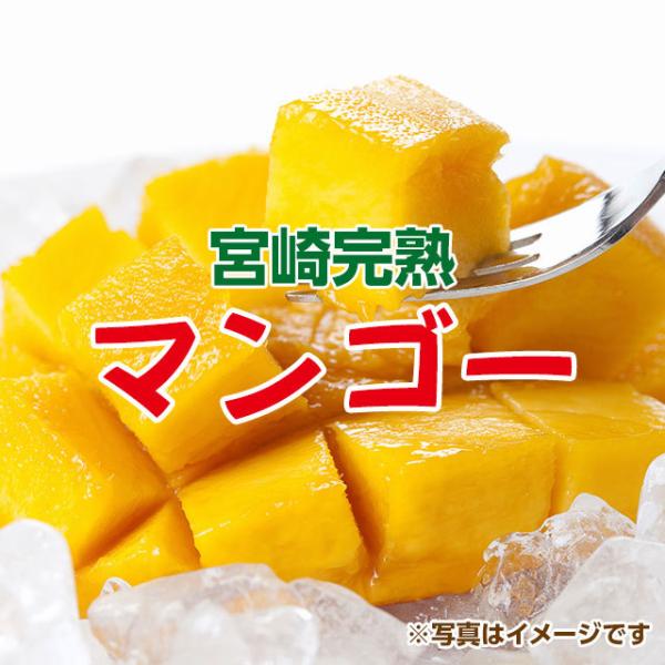 商品名：宮崎完熟マンゴー産地：宮崎県内容量：2玉入り（1玉２３０ｇ〜）保存方法：１０度以下で保存宮崎県産完熟マンゴーは国産又は輸入マンゴーのすべての中で最も美味しい一つといわれる逸品です。その味わいは一度食べるとクセになる美味しさです。完熟...