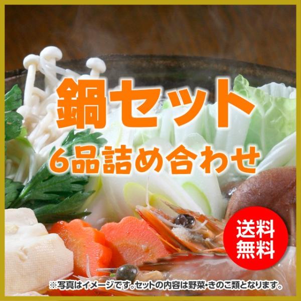 お鍋に使える旬の野菜6品厳選詰め合わせ内容：白菜1玉、ステーキ椎茸１パック、白ネギ1束、春菊1袋、えのき3袋、しめじ2袋送料無料１０度以下の涼しい場所で保存生ものですのでお早めにお召し上がりください
