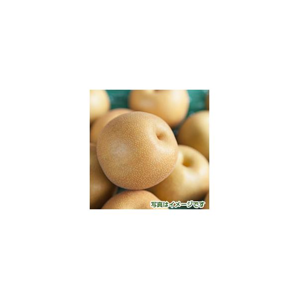 商品名：特選梨 ５ｋｇ　産地：福岡・熊本・大分県内容量：５ｋｇ保存方法：１０度以下の涼しい場所で保存賞味期限：生ものですのでお早めにお召し上がりください配送時に痛む恐れがあります。