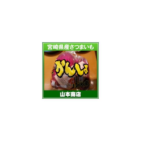 【商品名】さつまいも（宮崎県産）シルクスィート【産　地】宮崎県【内容量】１ｋｇ 【保存方法】１０度以下の涼しい場所で保存【賞味期限】生ものですのでお早めにお召し上がりください