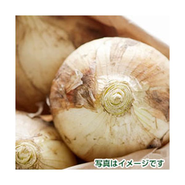 商品名：新玉ネギ　1kg内容量：1kg産地：佐賀・長崎・山口保存方法：１０度以下で保存