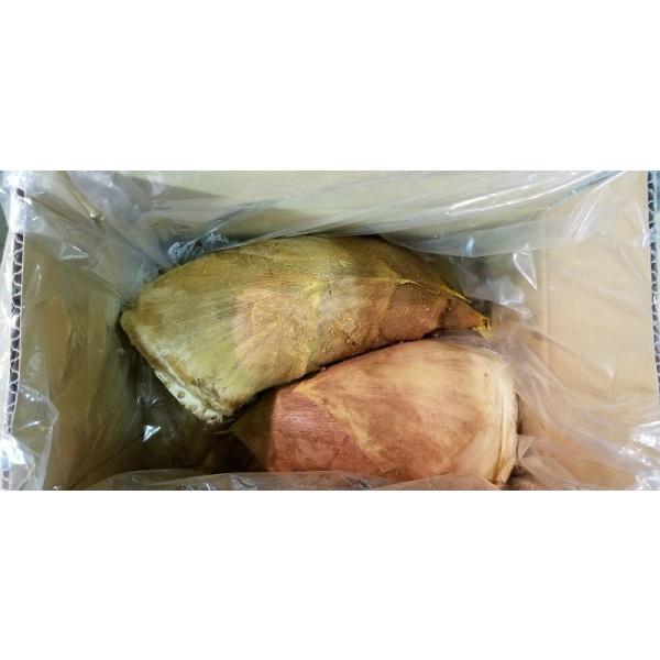 商品名：合馬たけのこ　2ー５本　内容量：2kg保存方法：10度以下で保存産地：福岡県産