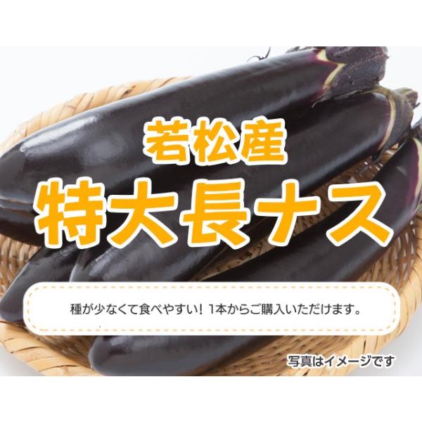 【商品名】特大赤茄子　【産　地】福岡県【内容量】１本　 【保存方法】１０度以下の涼しい場所で保存【賞味期限】生ものですのでお早めにお召し上がりください