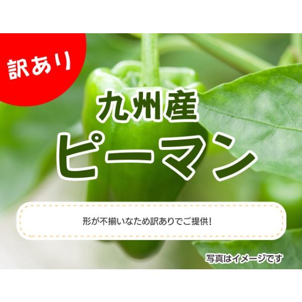 【商品名】ピーマン【産　地】宮崎・熊本県【内容量】1kｇ 【保存方法】１０度以下の涼しい場所で保存【賞味期限】生ものですのでお早めにお召し上がりください