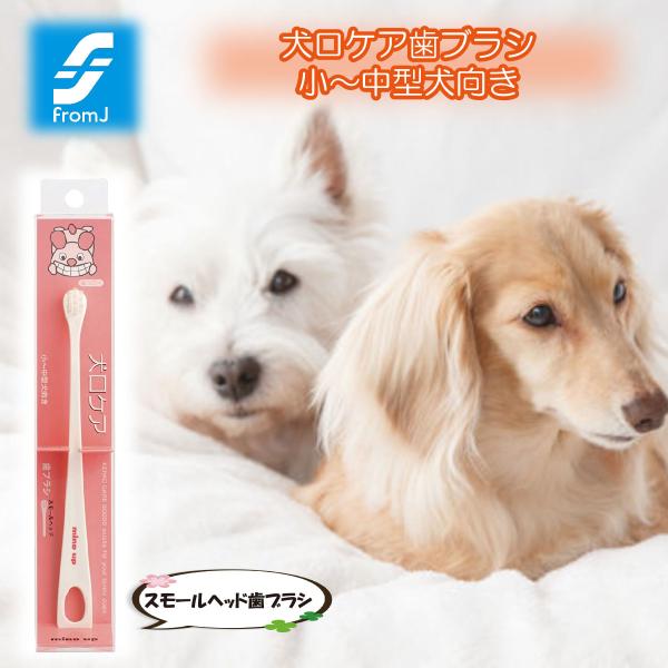 小〜中型犬の歯を磨けるように開発した本格的な歯ブラシです。 ワンちゃんの口の形状を考慮し、ブラシ部は柄に対して１５° 傾斜しているので操作性がよく、歯に付着した歯垢を効果的に除去できます。す。日本製　◇ 使用方法 ◇歯と歯ぐきの境目を丁寧に...