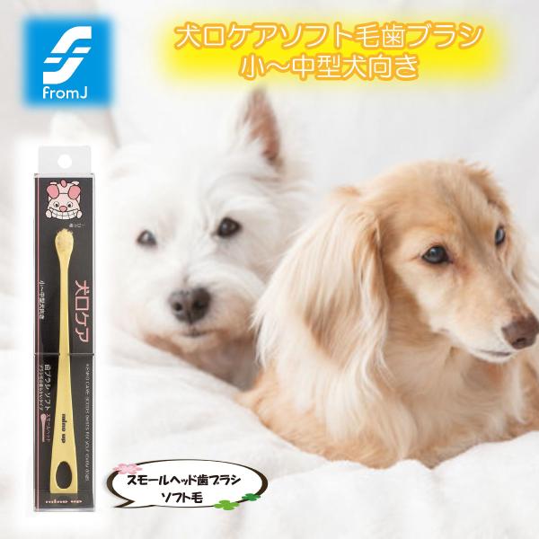 ブラシ毛がやわらかいので、歯周病で歯ぐきが弱っている愛犬の歯や歯ぐきのブラッシングに最適です。 ワンちゃんの口の形状を考慮し、ブラシ部は柄に対して１５° 傾斜しているので操作性がよいです。◎初めて歯ブラシを使用する方にも安心してご使用できま...