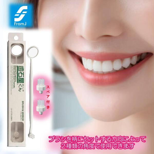 歯の裏側をチェックするミラーと、磨き残し部を清掃するのに最適な歯ブラシを組み合わせた歯の清掃具です。 挿入部は本体柄部に対し１５° 傾斜しているので、ブラシを柄にセットする方向によって２種類の角度で使用できます。 ブラシは交換式で、スペアが...