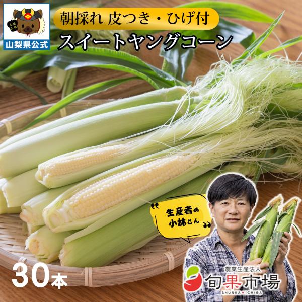 きみひめは、平成16年から甲府市の中道地区だけで作られてきた品種で、黄色一色のつやつやの美しいスイートコーンです。強い甘味と果皮の柔らかさのバランスがとても良く、甘さが口の中で広がっていきます。粒々感が際立ち、光沢のある実先端までがギッシリ...