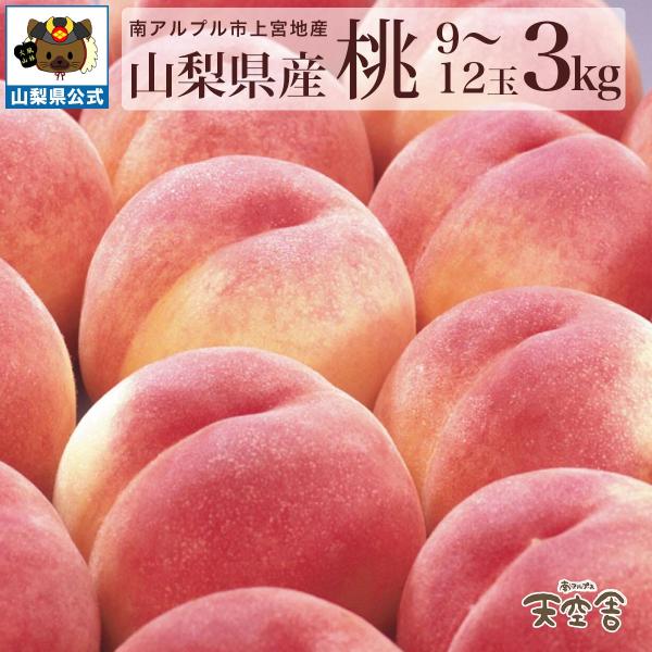 【7月10日から順次出荷】ご提供する産品は、かたくて美味しい桃の【川中島白桃】【なつっこ】と、果肉柔らかでジューシー感ある【あかつき】の三種、おまかせで旬の品種をお送りします。いずれも南アルプス上宮地産、標高400mの自家畑になります。おい...