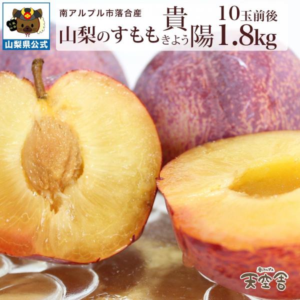 【7月10日から順次出荷】スモモの貴陽は南アルプスが発祥の地です。2012年7月24日、南アルプス産の貴陽が「世界で最も重いすもも」としてギネス世界記録に認定されました。多くのすもも品種は、小ぶりで酸味が強いのが特徴ですが、貴陽については、...