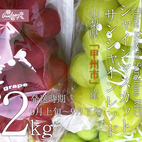 品種：シャインマスカット＆サンシャインレッド(種なし)サイズ：2kg（シャインマスカット2〜3房サンシャインレッド2〜3房）発送時期：9月上旬〜9月下旬天候などの状況により、出荷予定日が前後する場合がございますが、この点もご容赦いただけます...