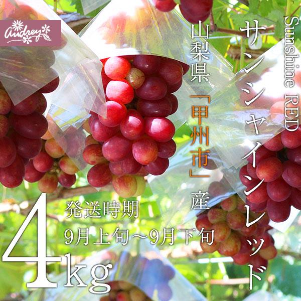 品種：サンシャインレッド(種なし)サイズ：4kg（7〜12房）発送時期：9月上旬〜9月下旬天候などの状況により、出荷予定日が前後する場合がございますが、この点もご容赦いただけますようお願いいたします。サンシャインレッドシャインマスカットとサ...