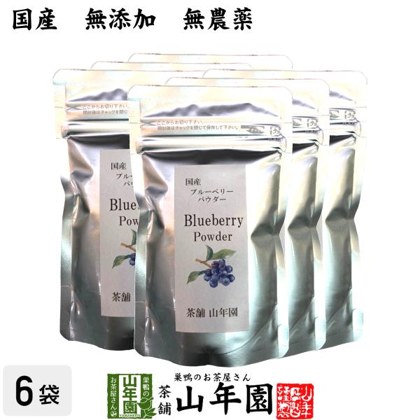 【国産】 ブルーベリー粉末 50g×6袋 送料無料 国産 日本茶 茶葉 緑茶 煎茶 送料無料 お茶 お歳暮 御歳暮 2025 ギフト プレゼント 内祝い お返し 贈り物 土産 贈答 【関連検索キーワード】送料無料 業務用 美味しい 飲みやす...