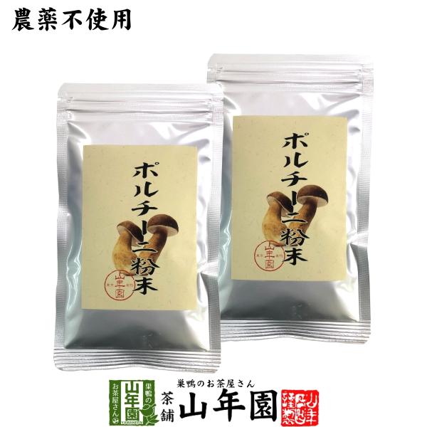 【本場イタリア産無農薬100%】 ポルチーニ茸の粉末 40g×2袋 送料無料 国産 日本茶 茶葉 緑茶 煎茶 送料無料 お茶 バレンタイン 2026 ギフト プレゼント 内祝い お返し 贈り物 土産 贈答 【関連検索キーワード】送料無料 業...