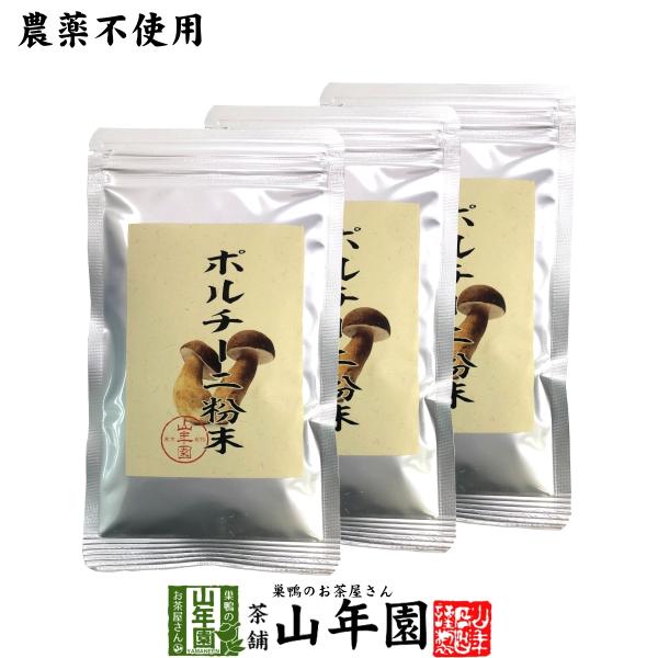 【本場イタリア産無農薬100%】 ポルチーニ茸の粉末 40g×3袋 送料無料 国産 日本茶 茶葉 緑茶 煎茶 送料無料 お茶 バレンタイン 2026 ギフト プレゼント 内祝い お返し 贈り物 土産 贈答 【関連検索キーワード】送料無料 業...