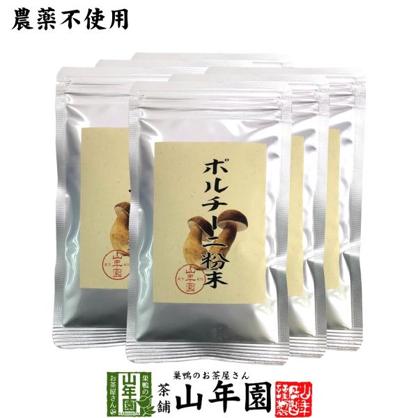 【本場イタリア産無農薬100%】 ポルチーニ茸の粉末 40g×6袋 送料無料 国産 日本茶 茶葉 緑茶 煎茶 送料無料 お茶 バレンタイン 2026 ギフト プレゼント 内祝い お返し 贈り物 土産 贈答 【関連検索キーワード】送料無料 業...