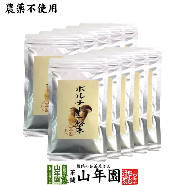 【本場イタリア産無農薬100%】 ポルチーニ茸の粉末 40g×10袋 送料無料 国産 日本茶 茶葉 緑茶 煎茶 送料無料 お茶 バレンタイン 2026 ギフト プレゼント 内祝い お返し 贈り物 土産 贈答 【関連検索キーワード】送料無料 ...