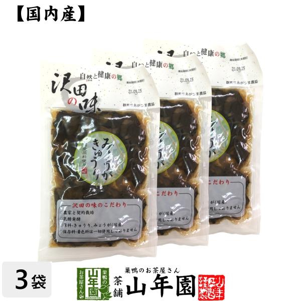 【国産原料使用】沢田の味 みょうがきゅうり しょうゆ漬 80g×3袋セット 送料無料 自然と健康の郷 群馬県吾妻郡産 健康 ダイエット ギフト プレゼント 母の日 父の日 プチギフト お茶 内祝い チャイ 2024【関連検索キーワード】爆買...