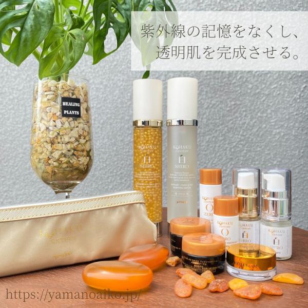 美白効果に関する特許を取得した、「コハクエキス ホワイト（ＷＨ）」を配合した「コハクセンチュリー 白 -ＳＨＩＲＯ-」が、ついに誕生。さらに「コハクエキス ナノ」「コハクエキス ＧＲ」も配合し、高いエイジング効果が期待できます。朝用美容液で...