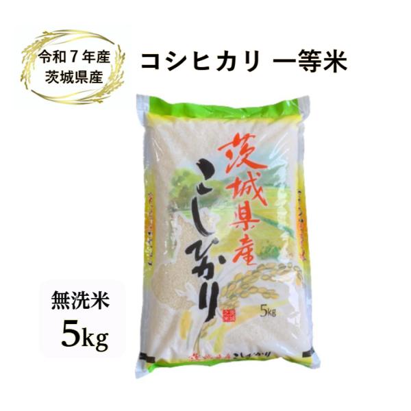 令和７年産茨城コシヒカリ一等米☆無洗米5ｋｇを二重包装にてお届けします。送料無料でお届けいたします。(※北海道・・３００円、中国、四国・・２００円、九州・・４００円、沖縄・・５００円かかります。)千葉県境、茨城県南水郷の地１００％のコシヒカ...