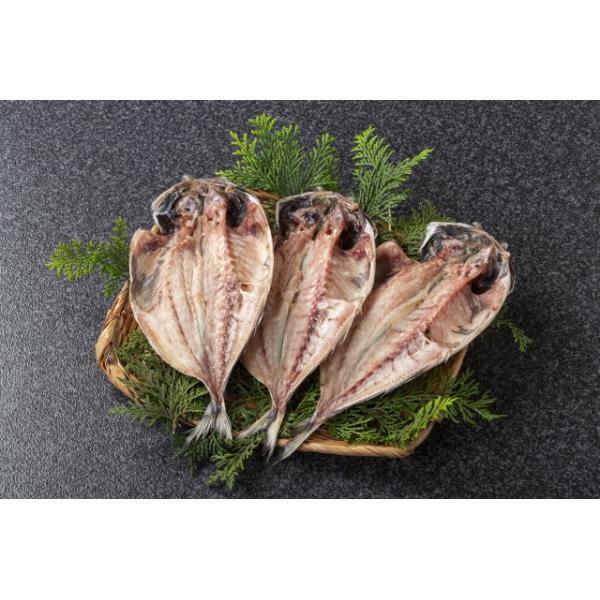 まあじよりも脂がのっているので【とろあじ】と呼ばれています。身はほぐれやすくジューシーな脂が溢れ出て旨味抜群♪一度食べたらやみつきになる極上の逸品！！※「おつかいもの」等で、小袋をご利用のお客様へ。ご希望の方は、TOP画面カテゴリーの「小分...