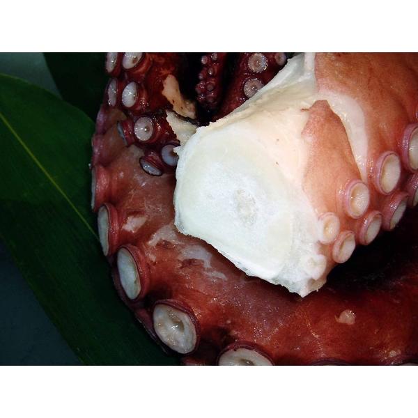 北海道産のたこを、水揚げ後すぐ釜ゆで致しました。 水たこ特有の柔らかさと、旨味をお楽しみください。内容量　【北海水たこ】約800g~1kg(冷凍）賞味期限　解凍後冷蔵庫にて3日間位　生ものですのでお早めにお召し上がり下さい。商品到着後、解凍...