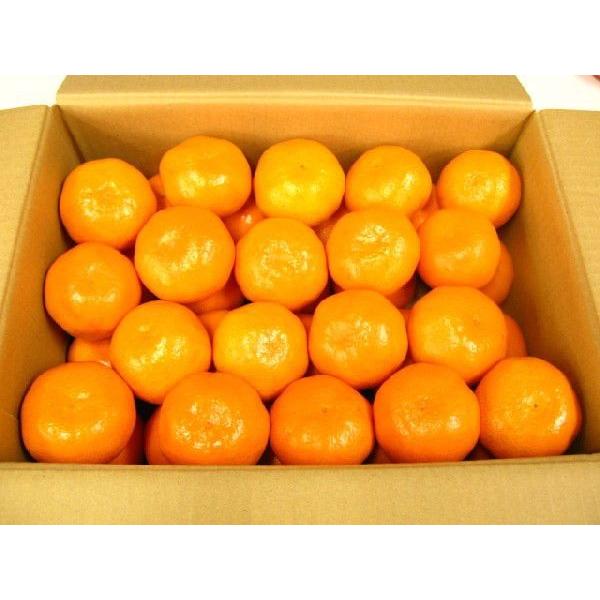 味の良いみかんです。3Lサイズ 3キロ入入り入荷状況により産地は変更いたします。賞味期間は約５日です。涼しい所に保存して下さい。のし紙対応　お申しつけ下さい。送料無料です。（北海道、沖縄県は送料1000円追加させていただきます。）