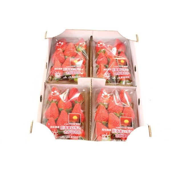 おおつぶイチゴ高知県産　さがほのかいちご4パック入り1パック約300グラム賞味期間約３日冷蔵庫で保存して下さい。のし紙対応　お申し付け下さい。送料無料商品です。