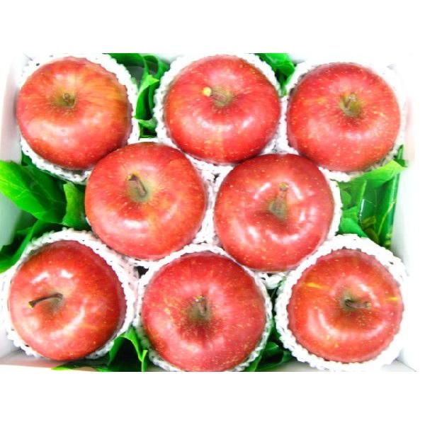 甘みたっぷり　歯ごたえバッチリふじりんご フジ林檎８個入り1個約300グラム賞味期間は約5日です。涼しい所に保存してください。送料無料です。（北海道、沖縄県は送料1000円追加させていただきます。）