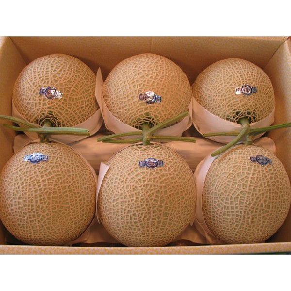 とろけるうまさ　メロンの殿堂静岡産アローマメロン６個入り　１個約1.5キログラム賞味期間は約５日です。食べごろ記入クール便冷蔵での発送です。送料無料です。北海道、沖縄は送料1000円加算させていただきます。