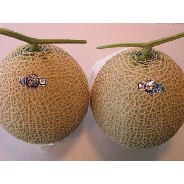 とろけるうまさ　メロンの殿堂静岡産大玉アローマメロン2個入り　１個約1.8キログラム賞味期間は約５日です。化粧箱入り　食べごろ記入クール便冷蔵での発送です。送料無料です。北海道、沖縄は送料1000円加算させていただきます。