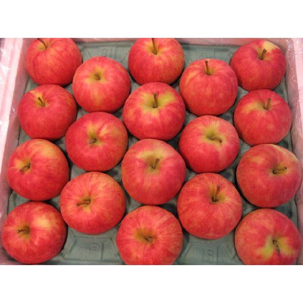 青森県産ジョナゴールドりんごやわらかくて食べやすいりんごです３６個入り(18個×2段入り)1個約250グラム賞味期間は約5日です涼しい所に保存してください。送料無料です。