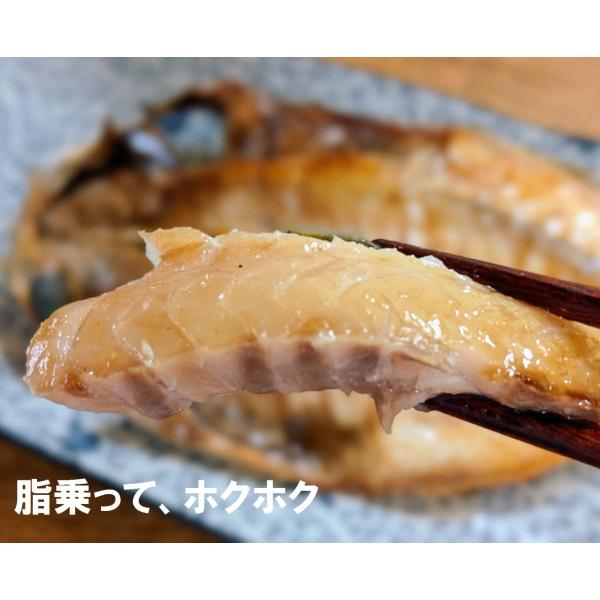 【発売日：2020年05月15日】脂のよく乗った真アジの開きです。１枚あたり約110ｇサイズで頭から尾の先まで約22ｃｍ冷凍庫（-18℃）で約２か月保存可能です。韓国水揚げ　沼津加工