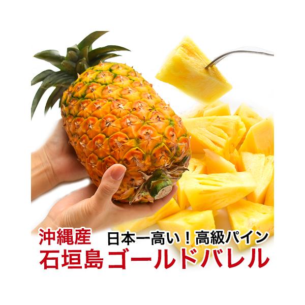 今が旬の 美味しい 沖縄 パイナップル日本一高い高級パイナップル ゴールドバレルです。1玉1Kg以上ある重量感で糖度も高く18度と甘くジューシーな沖縄パイナップル。お取り寄せ 沖縄フルーツ 高級としてオススメです。沖縄本島や石垣島の太陽を浴...